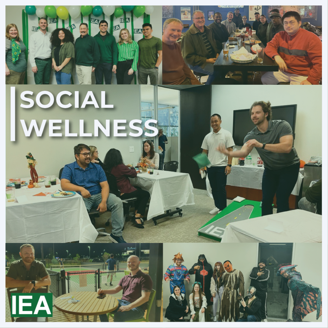 Thriving Through Interconnectedness: IEA’s Approach to Creating a ...